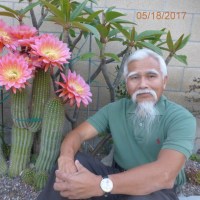 CACTUS LOVER – CACTUS LOVER